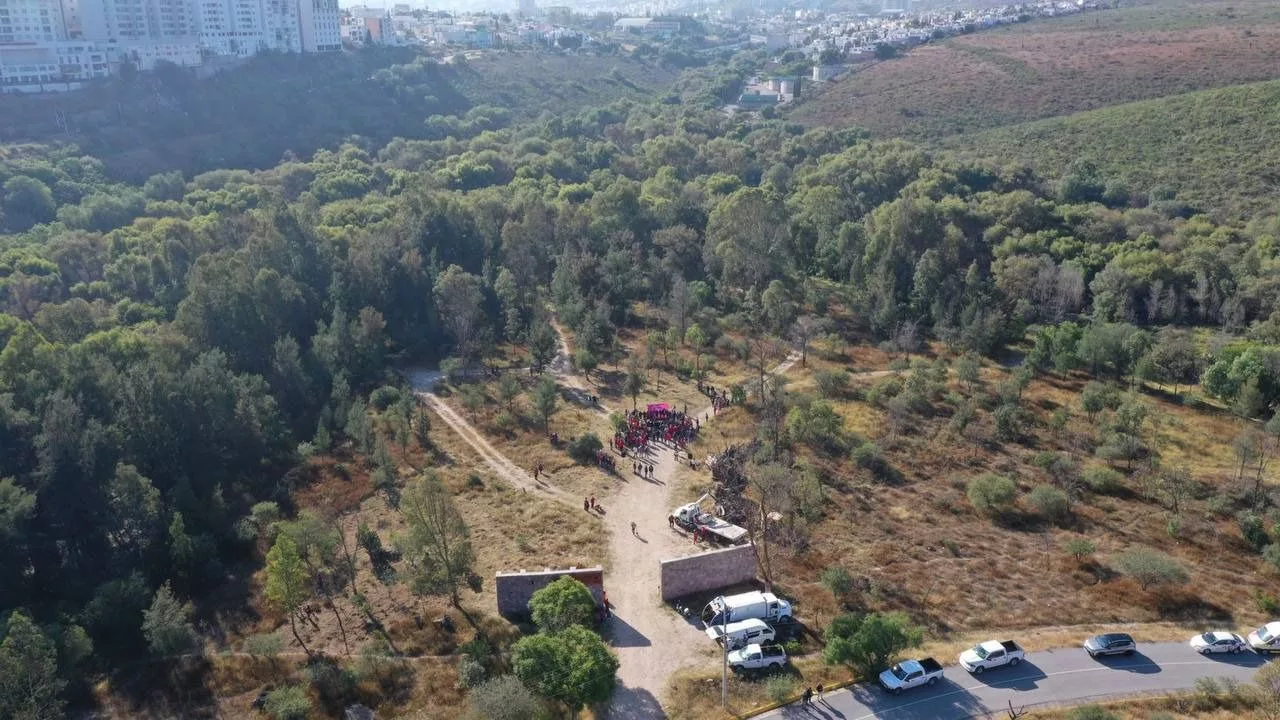 Bosque de la Vida, el nuevo parque para la ciudad » Emisor Noticias